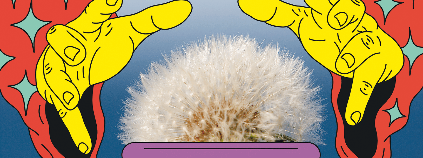 Amber | Antalis GmbH